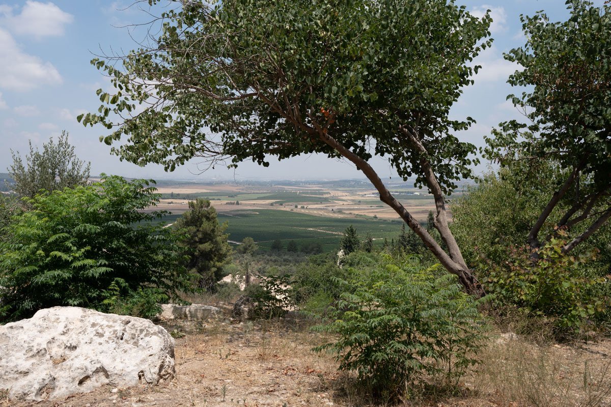 An oasis for peace: This school aims to be a place of understanding