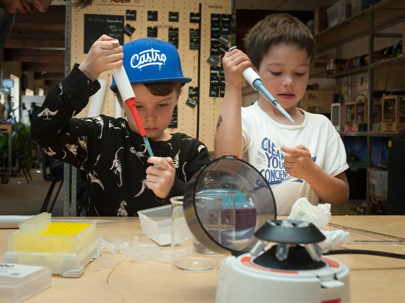 Understanding Science Through Play | Robert Bosch Stiftung
