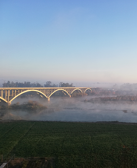 Details – Developing Local Peacebuilding Capacity in Ninewa, Iraq ...