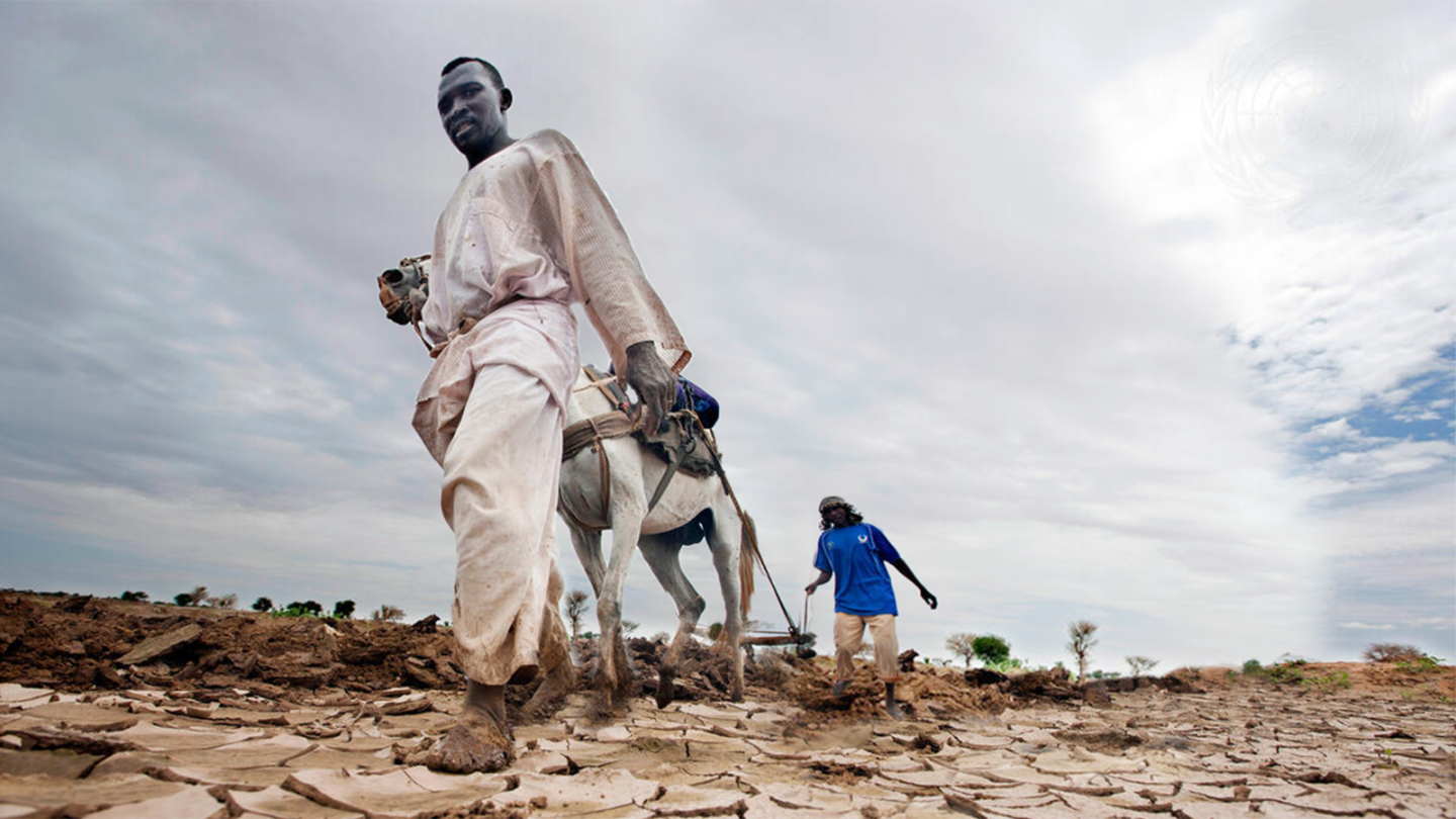 Bridging Policy and Practice in the Context of Climate-Induced ...