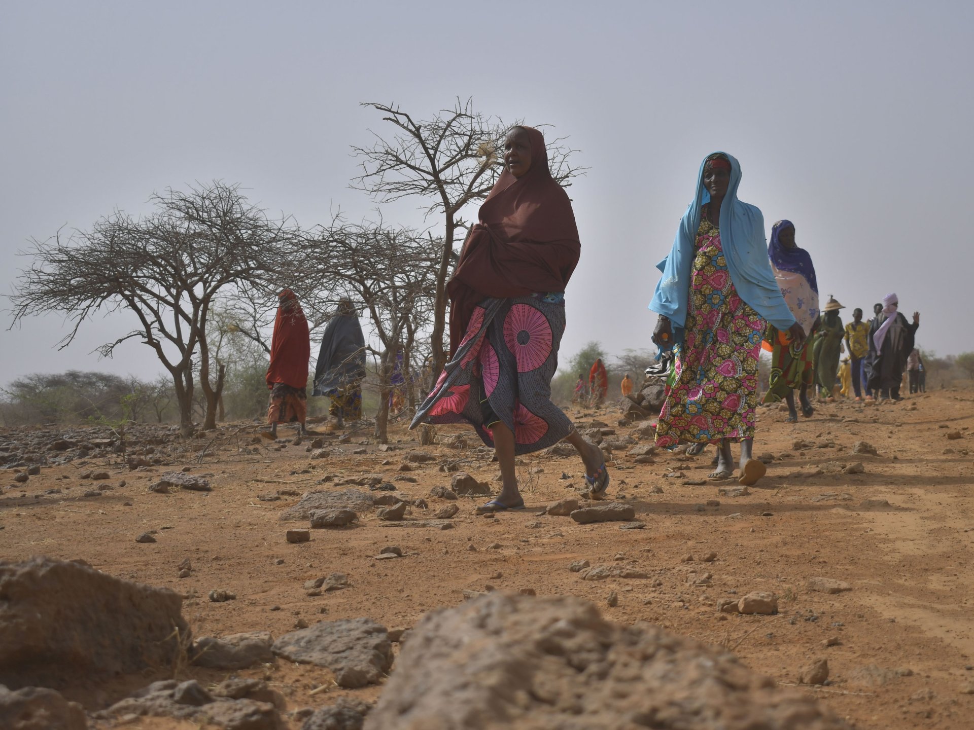 COP27 – Klimawandelfolgen in Afrika | Robert Bosch Stiftung COP27 – Klimawandelfolgen in Afrika | Robert Bosch Stiftung