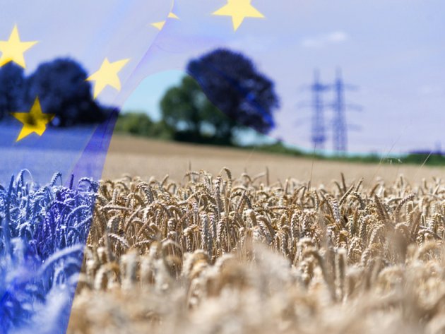Strengthening Europe’s Climate Ambition in the Land-Use Sector | Robert ...