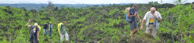 How Can Plants Defy the Effects of Climate Change? | Robert Bosch Stiftung