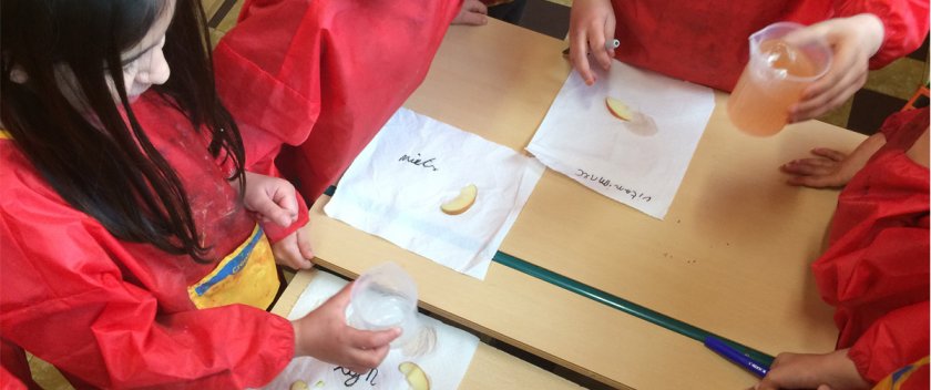 Understanding Science Through Play | Robert Bosch Stiftung