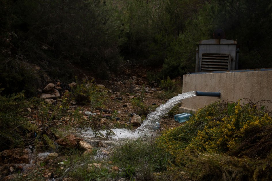 The Hima Project: Can a 1,500-year-old method secure peace in the age ...